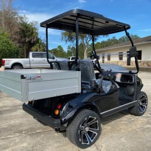 2022 Evolution Electric Vehicles Turfman 200 - SWING BUGGYS